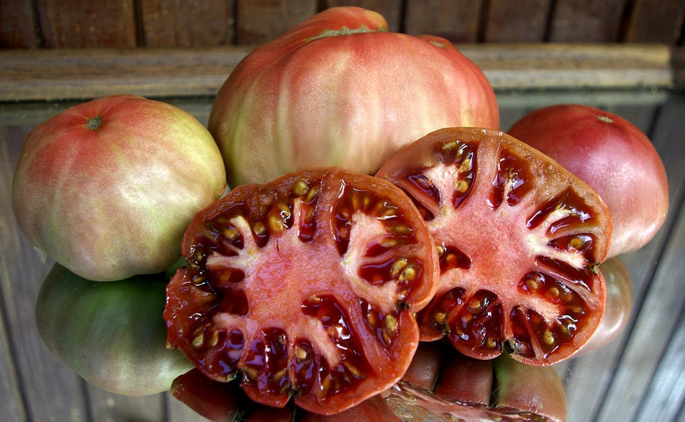 Beefsteak Tomatoes – Lone Star Nursery
